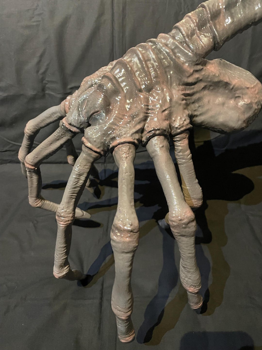 Alien Inspired Xenomorph Model – 40cm Handmade Replica – Horror/sci-fi ...