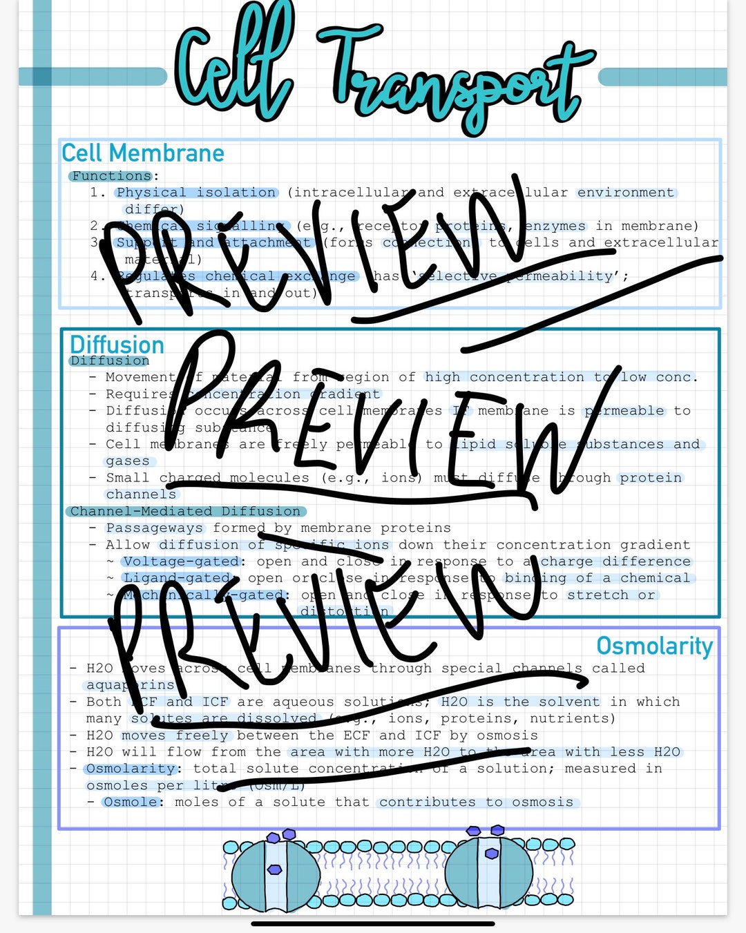 Cell Transport Note Package - Etsy