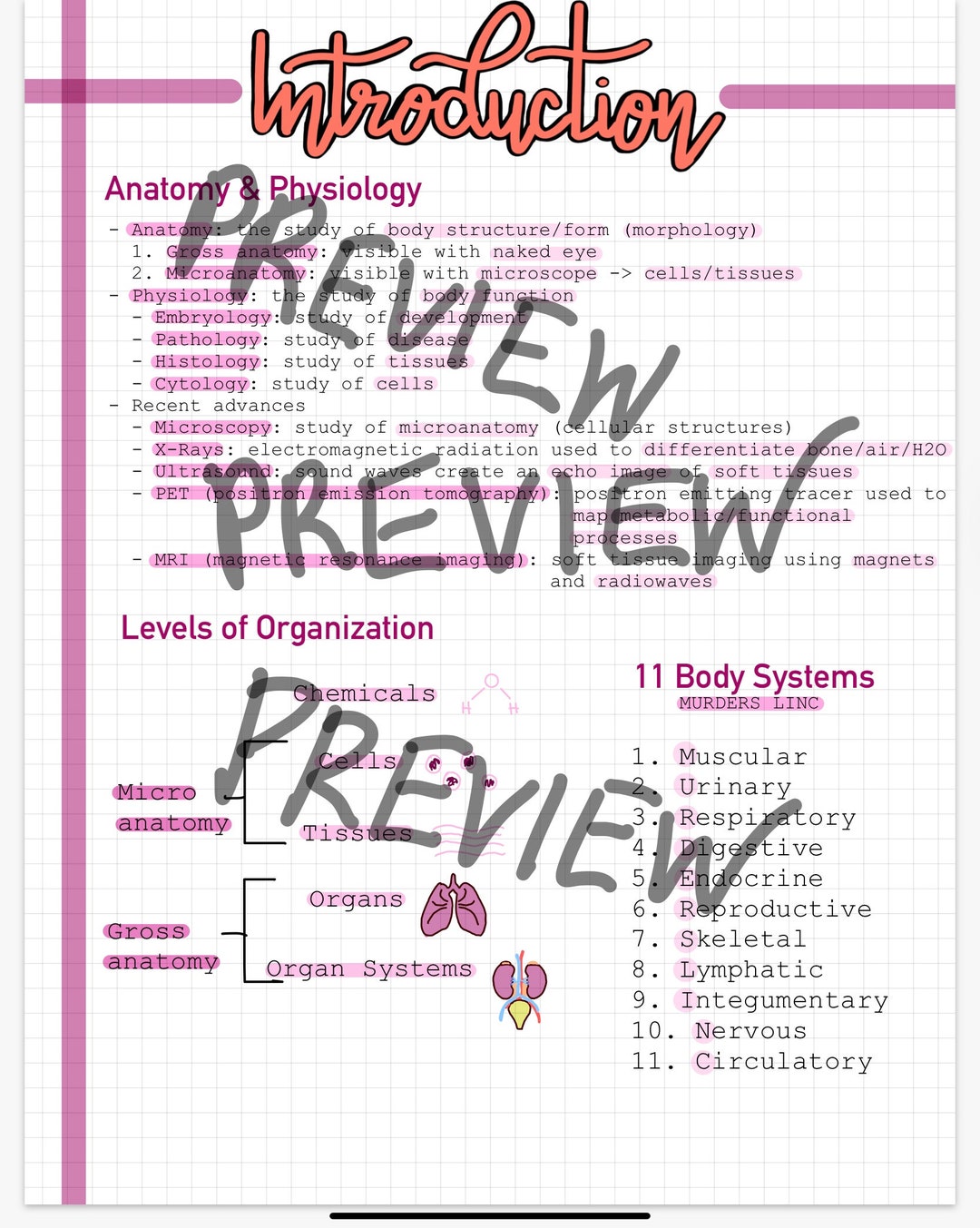 Introduction to Anatomy and Physiology Note Package - Etsy