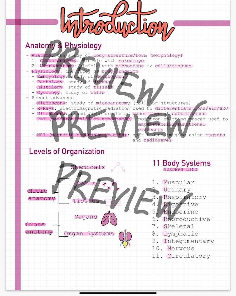 Introduction to Anatomy and Physiology Note Package - Etsy