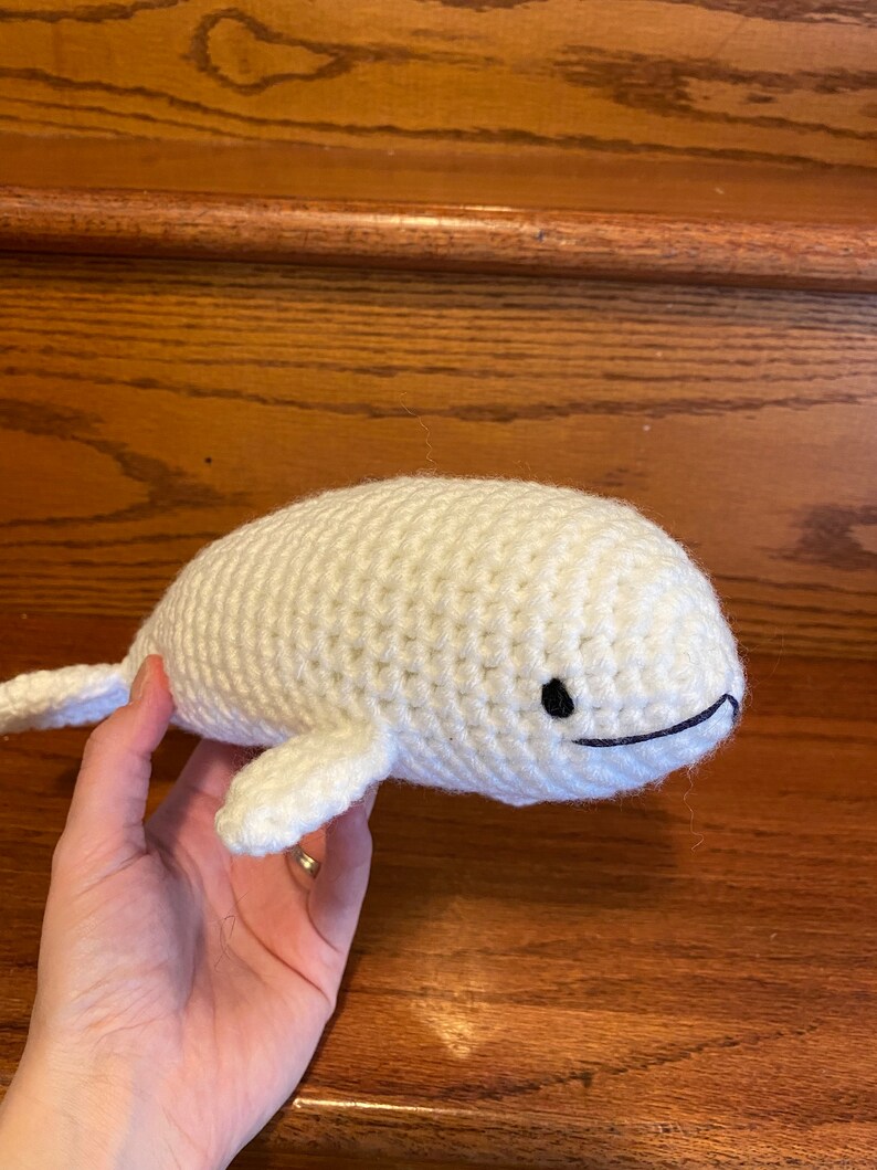 Beluga Whale Book Gift Set - Etsy