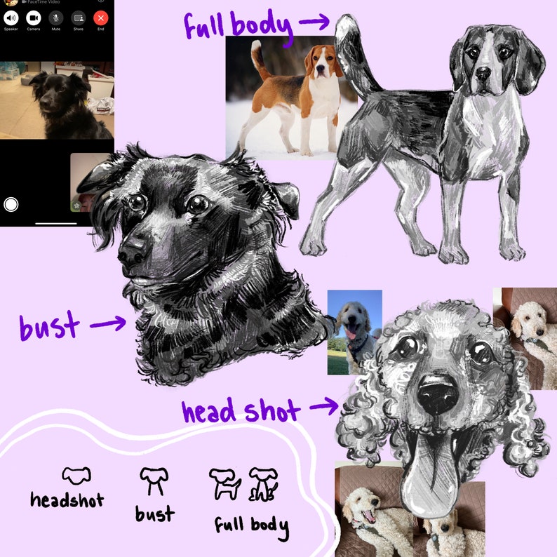 Digital CUSTOM Hand Drawn Pet Sketches bust - Etsy