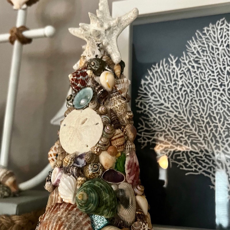 Shell Tree - Etsy