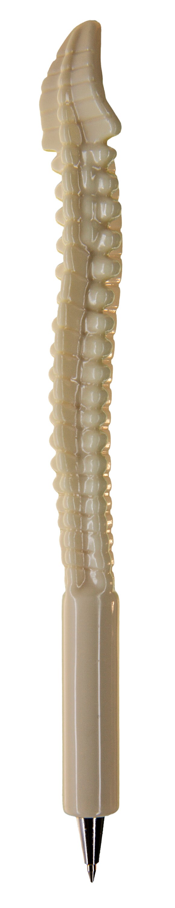 Pack of 5 Anatomical Bone Pens - Black Ink - Etsy UK