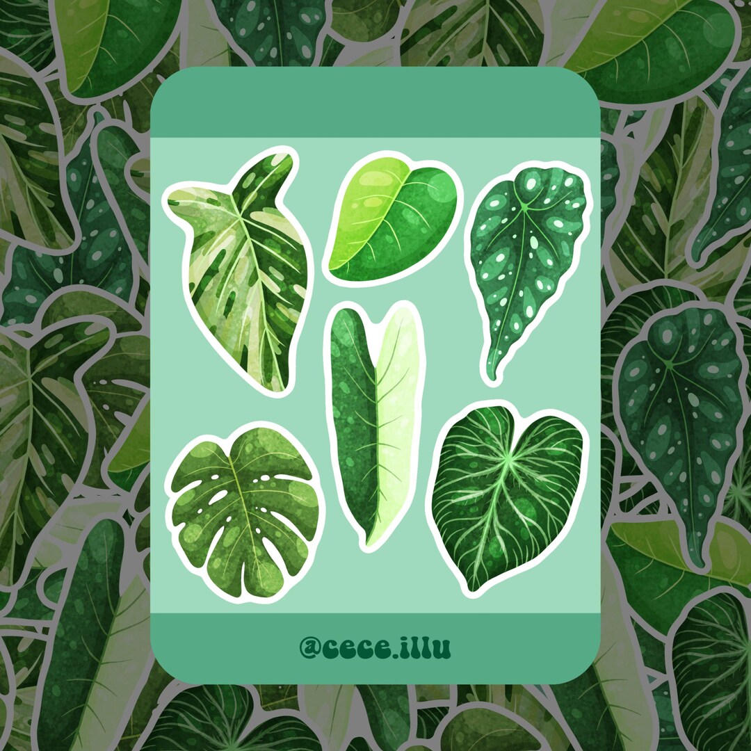 Plant Leaves Sticker Sheet | 6 Stickers - Etsy