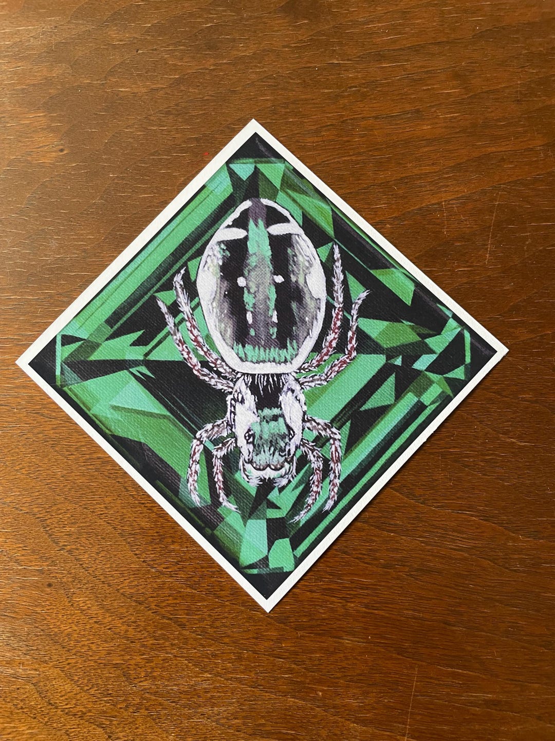 Emerald Jumping Spider Art Print 5x5" Arachnid Painting - Etsy