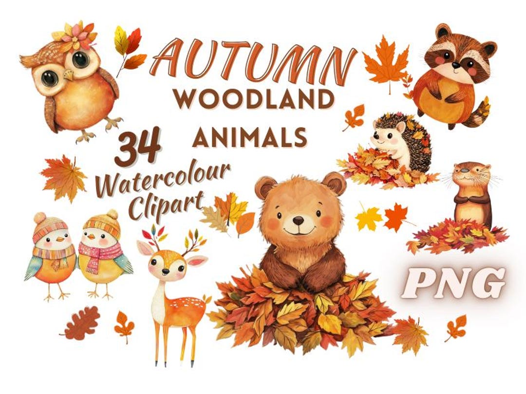 Autumn Animals Watercolor Clipart, Cute Fall Animal Images, PNG, Cute ...