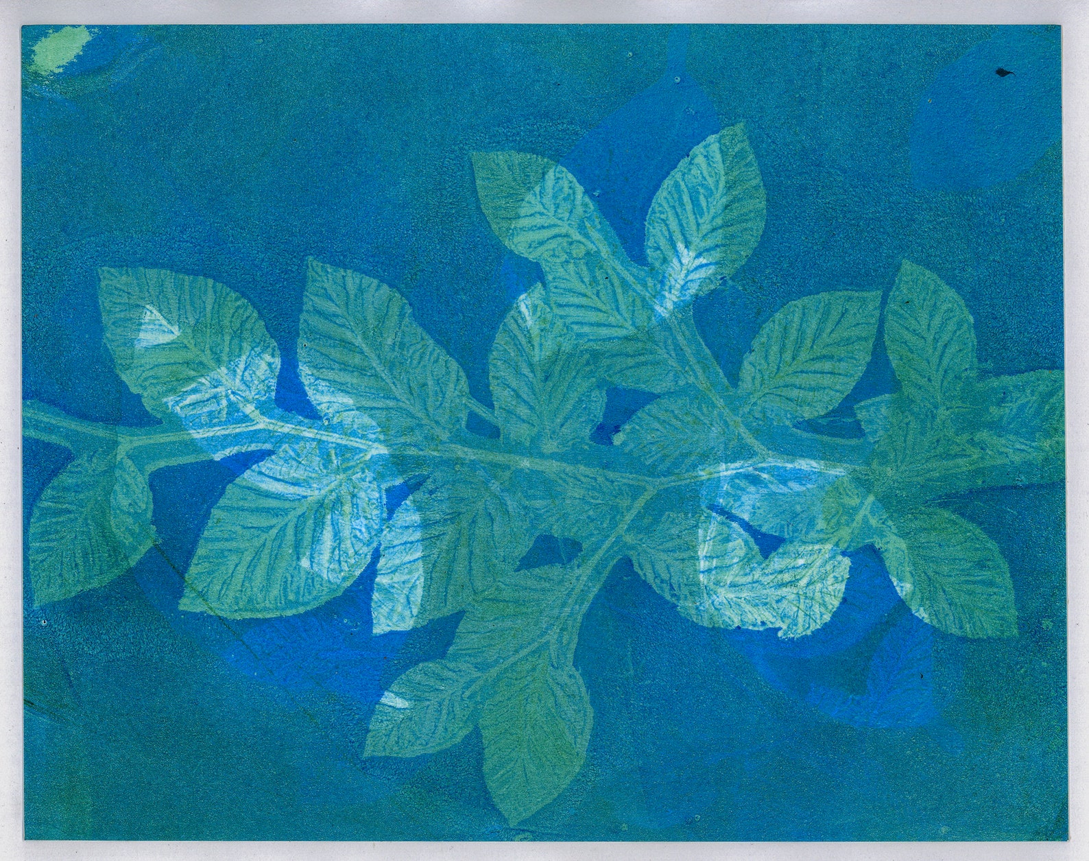 Blue Branch Wall Art Print 12 X 10 Inches Mounted. Abstract - Etsy