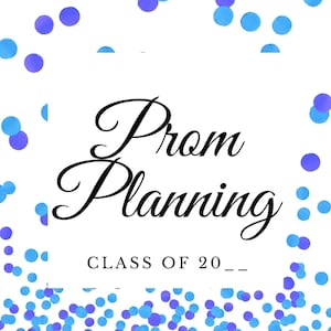 Prom Planner Printable Prom Checklist Detailed Prom Guide Prom Timeline ...