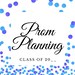 Prom Planner Printable Prom Checklist Detailed Prom Guide Prom Timeline ...