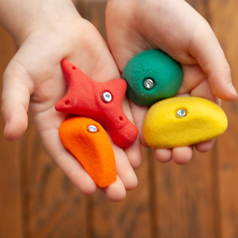 Climbing Hold Refrigerator Magnets for Fridge or Magnetic Boards ...