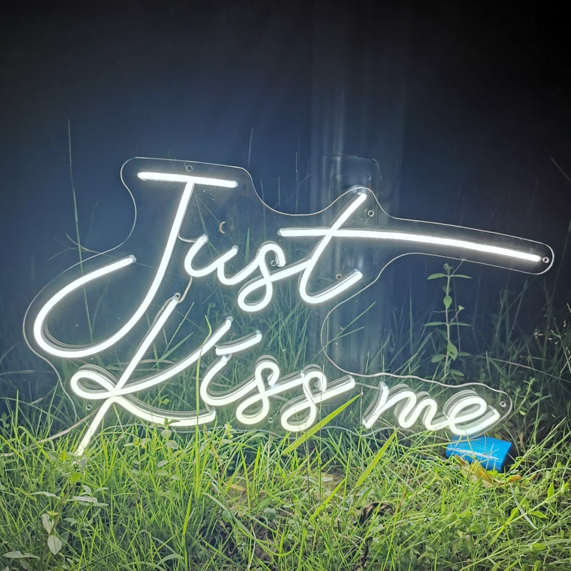Just Kiss Me Custom Wedding Neon Sign Custom Cool White Led - Etsy