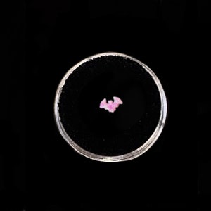 OPAL TOOTH GEM Collection *new* - Etsy