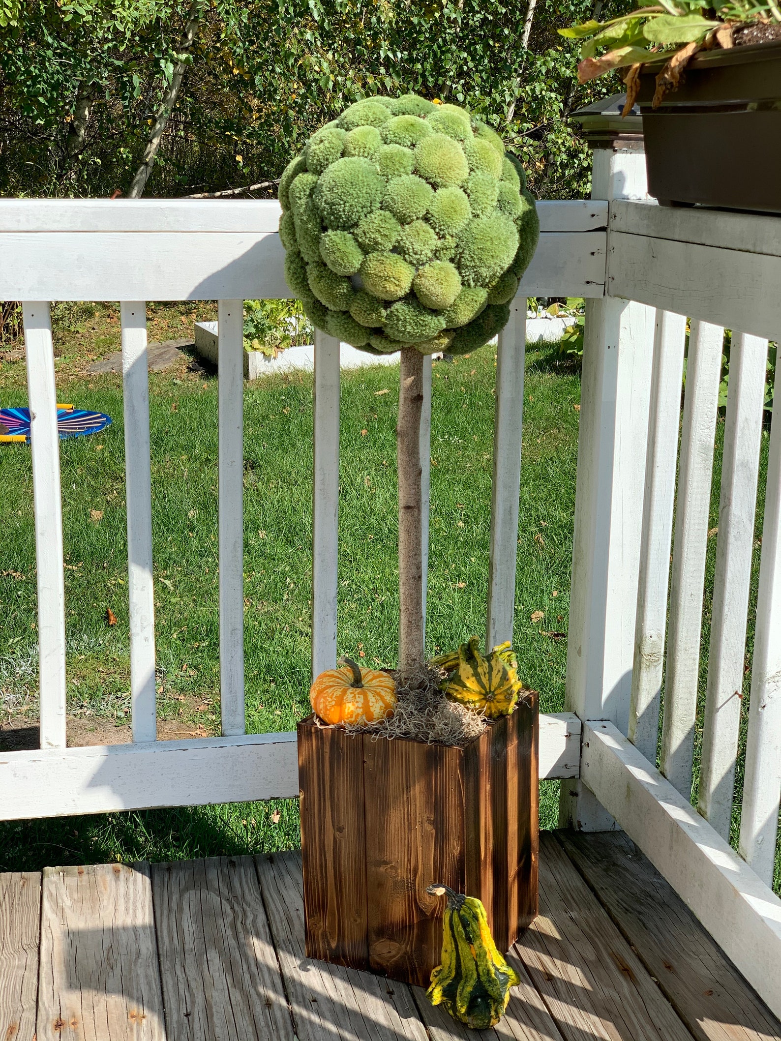 Living Moss Art Tree | Moss Art Decor 3ft. - Etsy