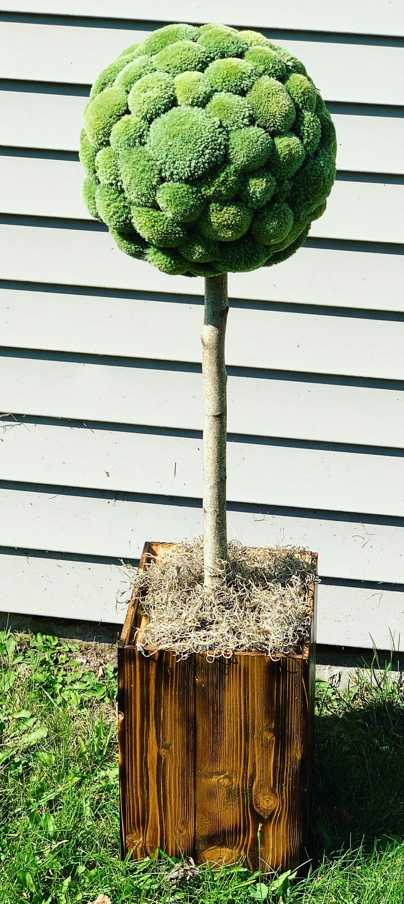 Living Moss Art Tree | Moss Art Decor 3ft. - Etsy