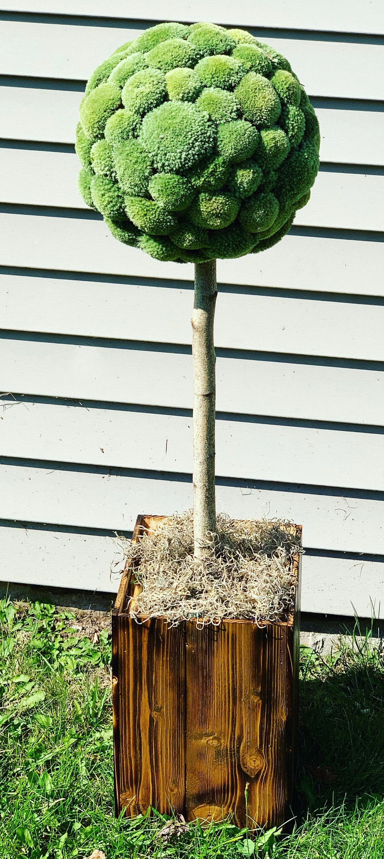 Living Moss Art Tree | Moss Art Decor 3ft. - Etsy