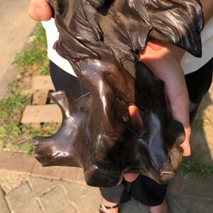 Copper King of the Jungle Lion Head Statue Good Luck Housewarming Gift ...