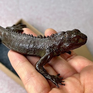 Collect Lifelike Copper Lizard Figurine Table Decoration Ornament ...