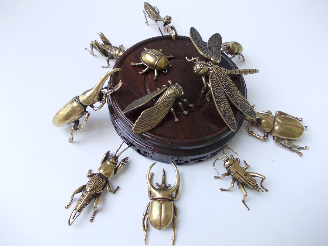 Set of 11 Bugs, Life Size 1:1 Brass Insect Beetle Statue Vintage ...