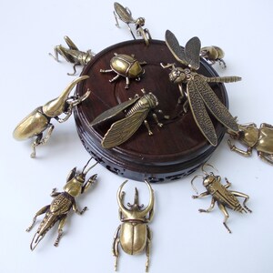 Set of 11, Life Size 1:1 Brass Insect Beetle Statue Grasshopper Unicorn ...
