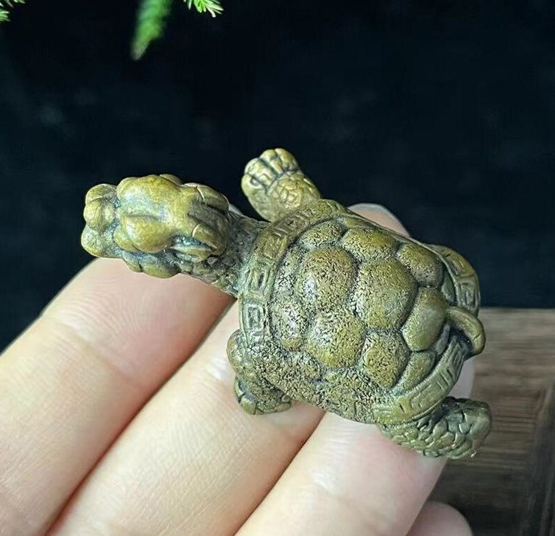 Feng Shui Wealth Yin Yang, Copper Wealth Money Yuanbao, Dragon Tortoise ...