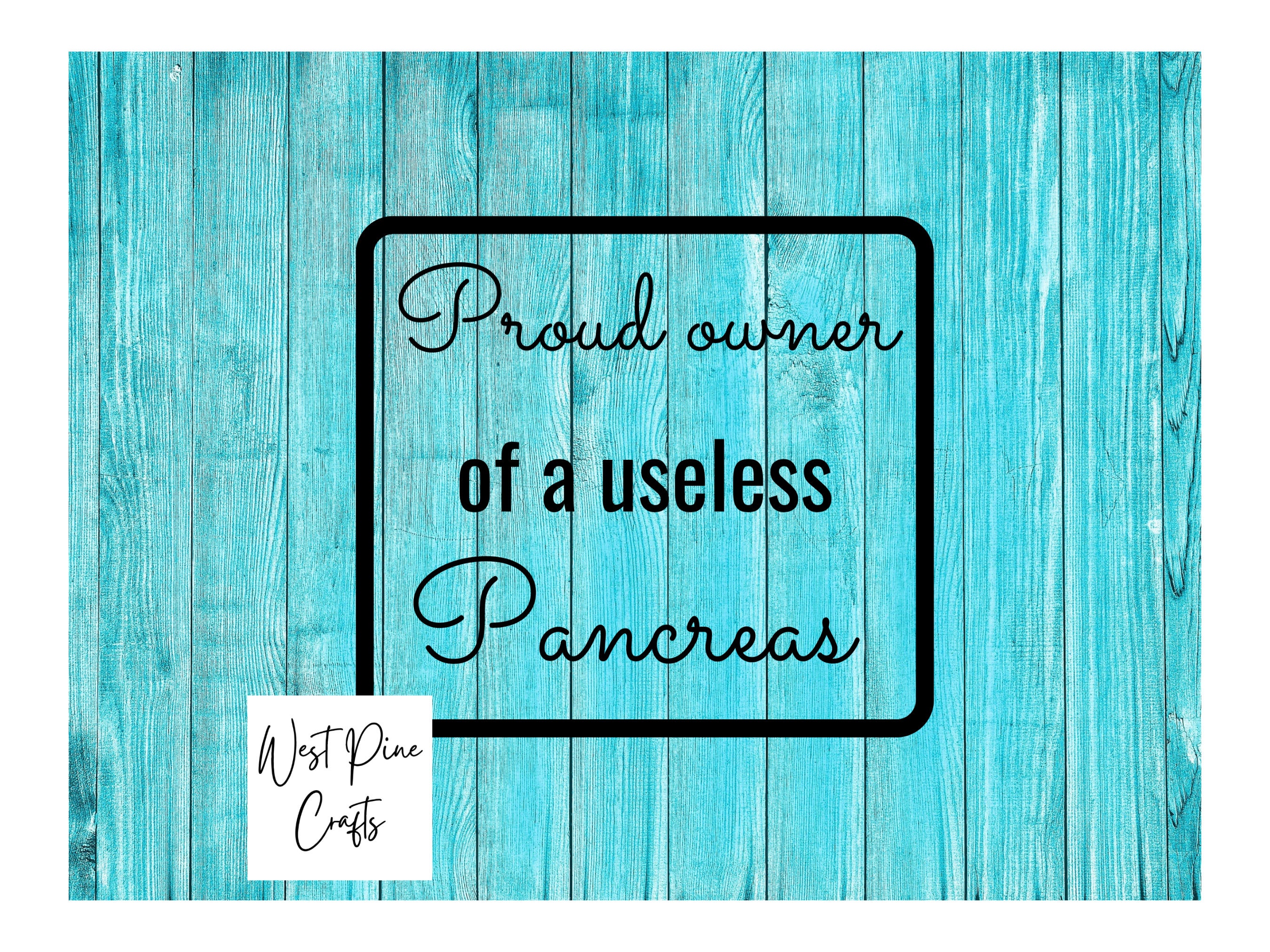 Proud Owner of a Useless Pancreas SVG | Diabetes SVG - Etsy