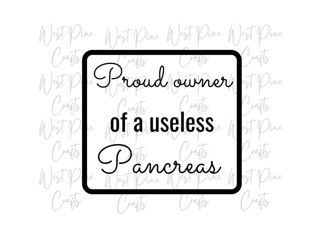 Proud Owner of a Useless Pancreas SVG | Diabetes SVG - Etsy