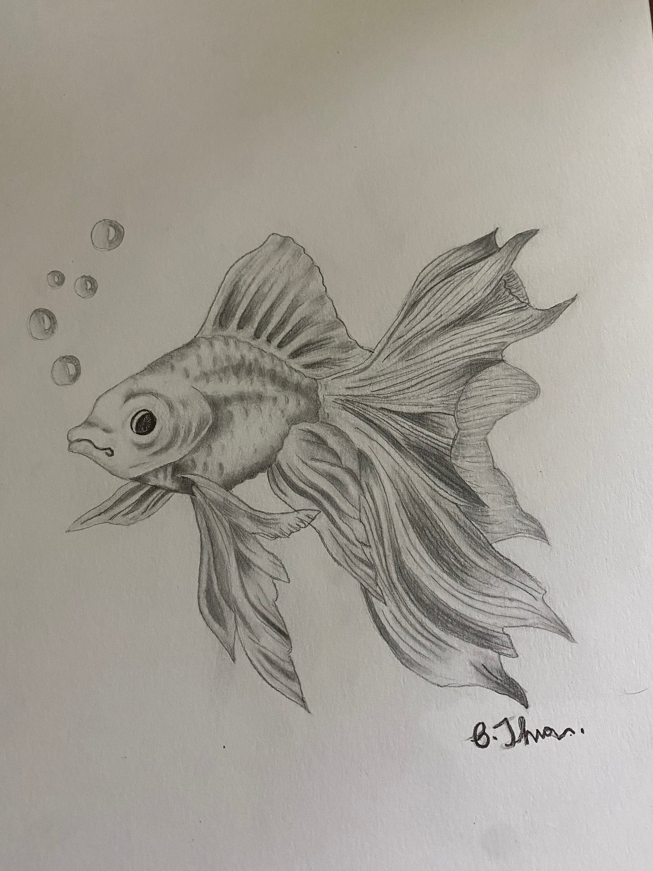 How To Draw A Realistic Fish