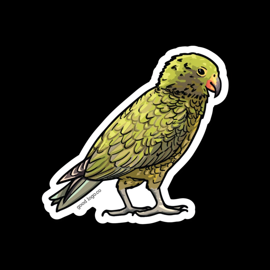 The Kea Sticker, New Zealand Sticker, NZ Sticker - Etsy