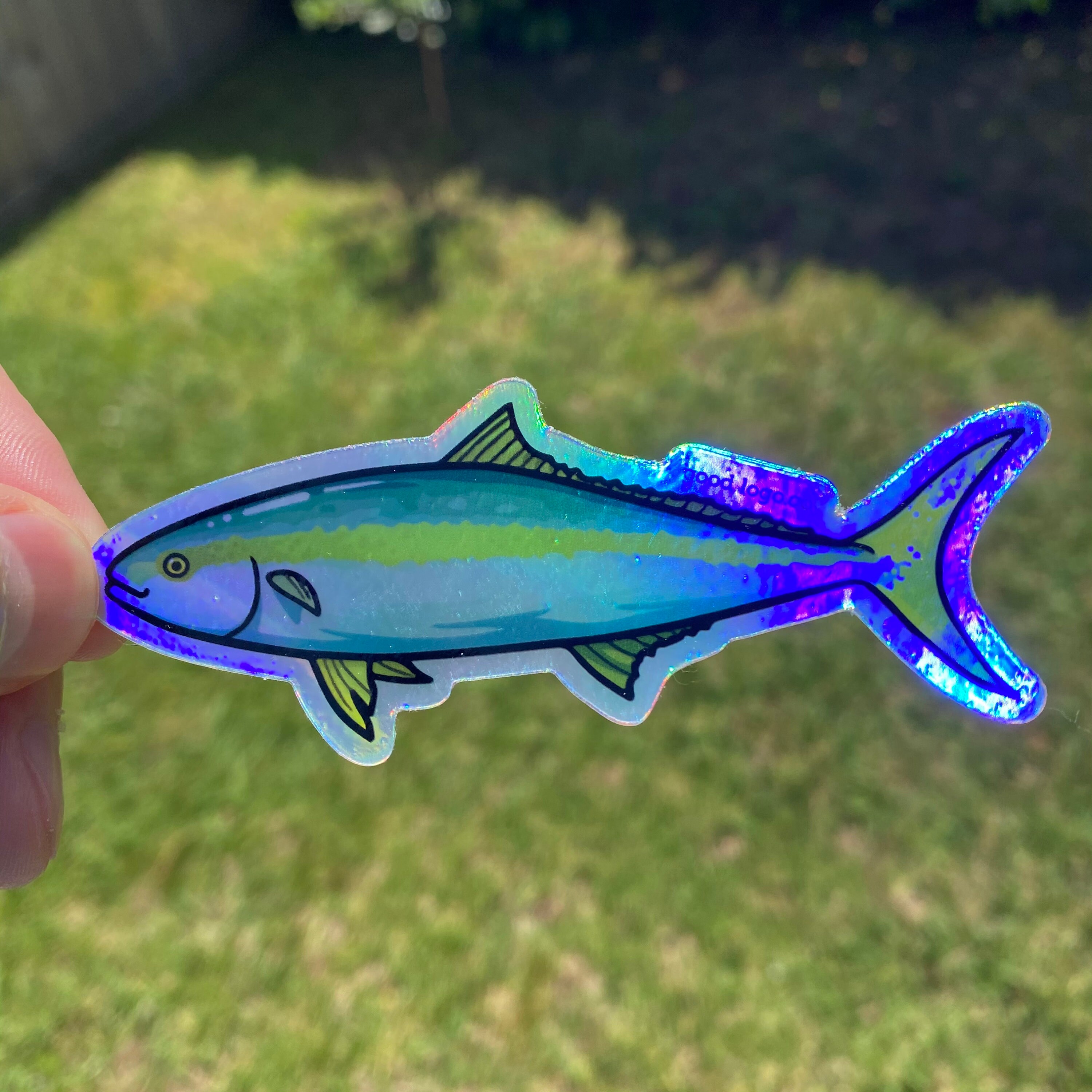 The Holographic Kingfish Sticker New Zealand Sticker NZ - Etsy