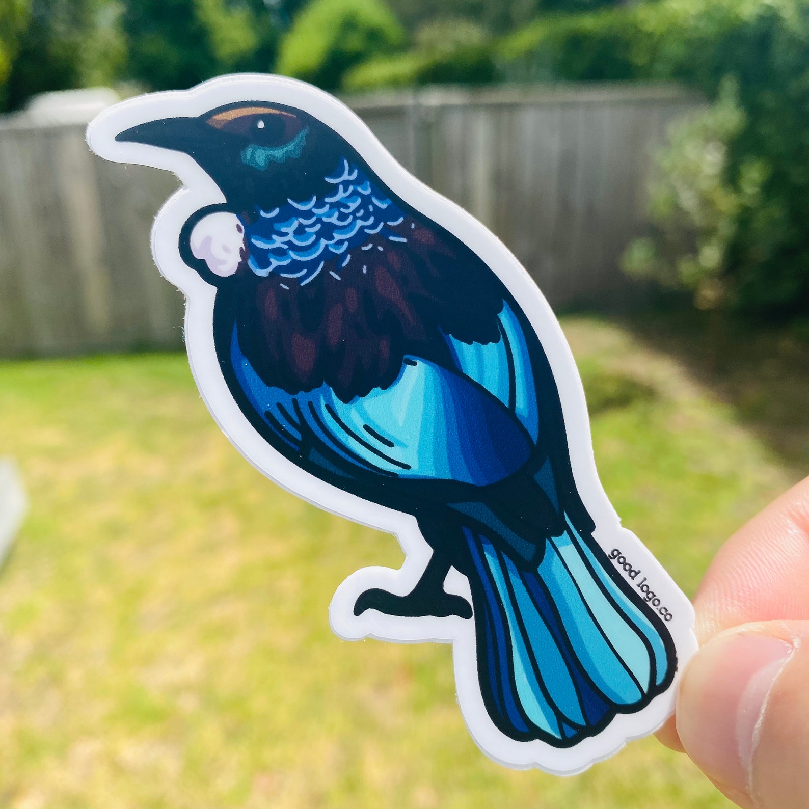 The Tui Sticker, New Zealand Sticker, NZ Sticker - Etsy