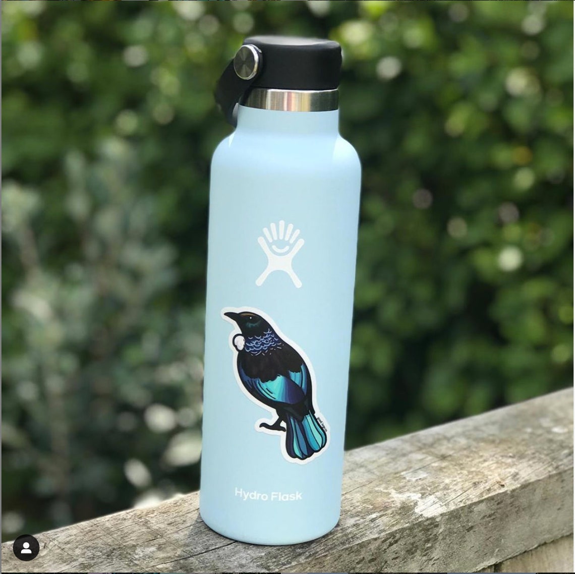 The Tui Sticker, New Zealand Sticker, NZ Sticker - Etsy