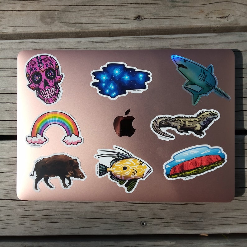 The Wild Pig Sticker - Etsy