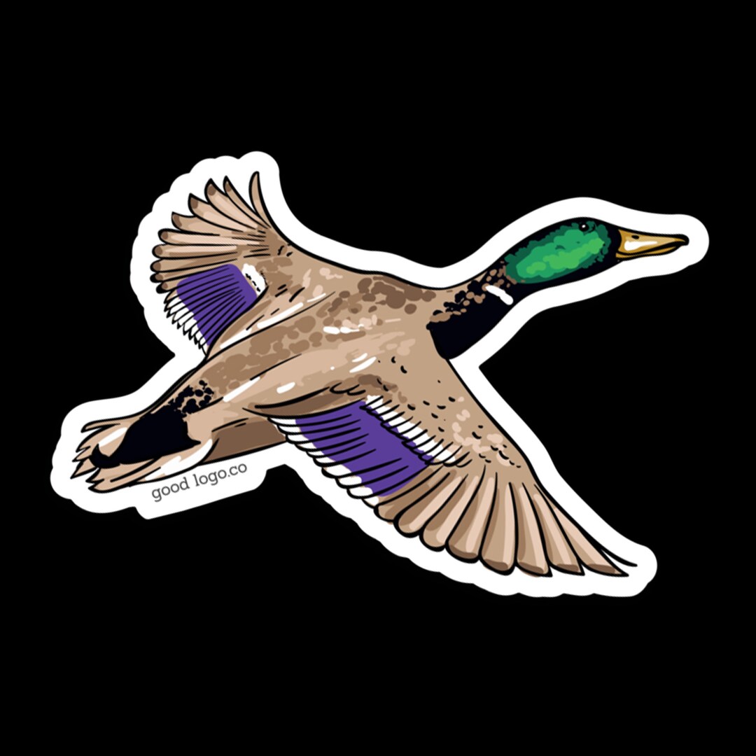 The Mallard Duck Sticker - Etsy