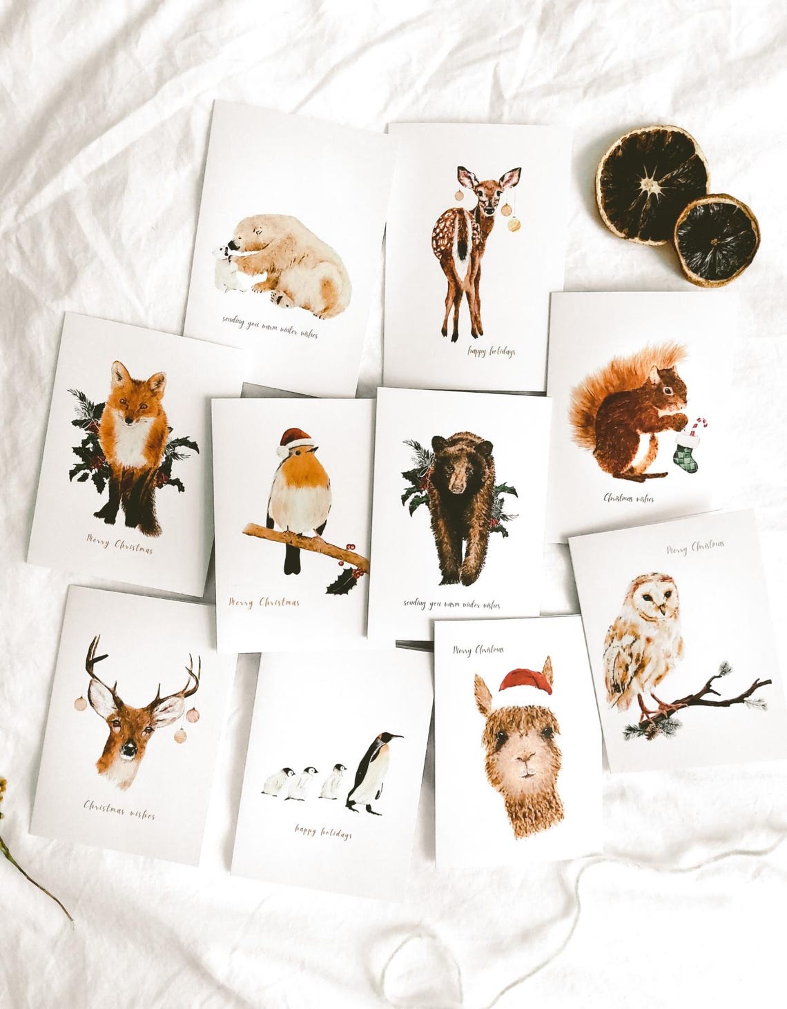 Christmas Card Animal, Funny Animal Christmas Cards, Animal Watercolor ...