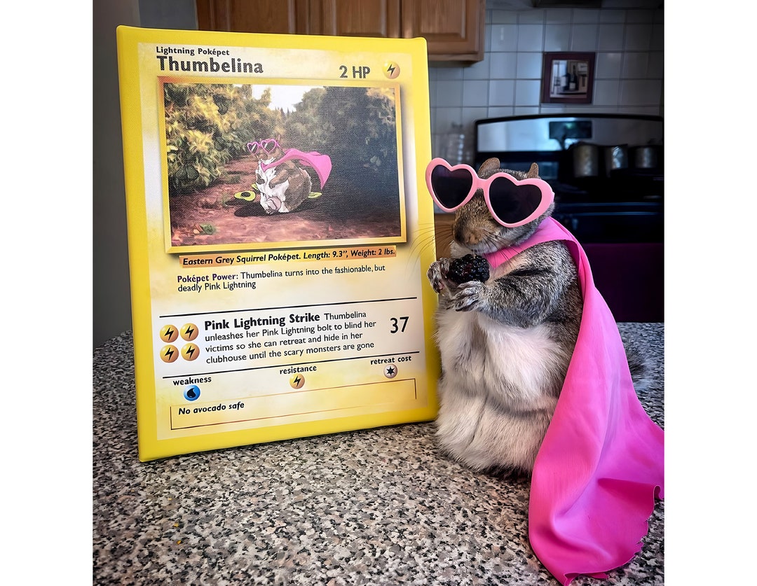 Custom Pokemon Card, Metal Pokemon Cards, Custom Pokemon TCG Card, Pet ...