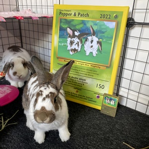 Custom Pokemon Card, Custom Metal Pokemon Cards, Custom Pet Portrait ...