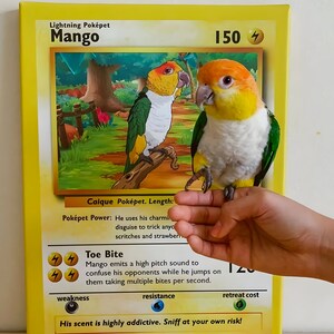 Custom Pokemon Card, Custom Metal Pokemon Card, Pokemon Cards, Custom ...