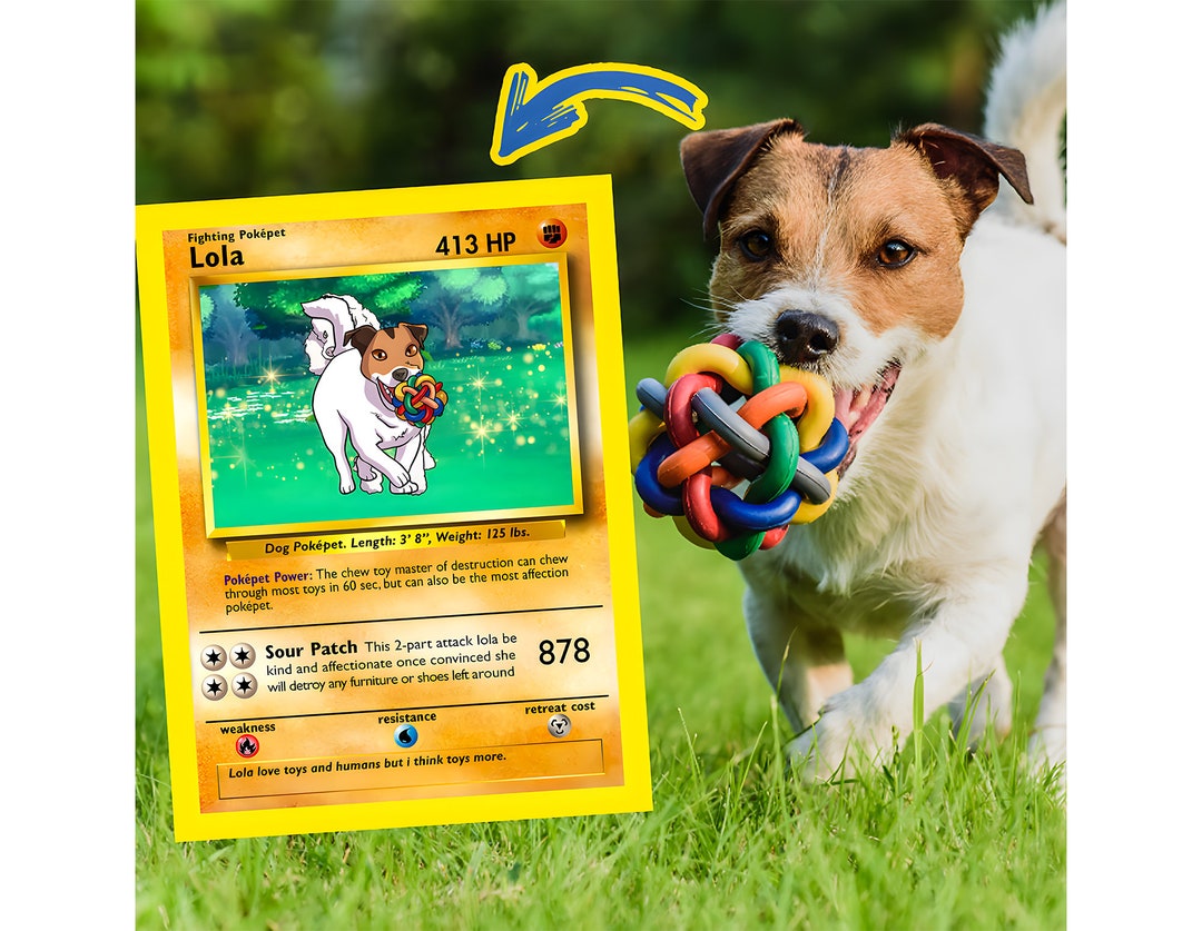Custom Pokemon Card, Pokemon Cards, Custom Metal Pokemon Card, Pet as ...