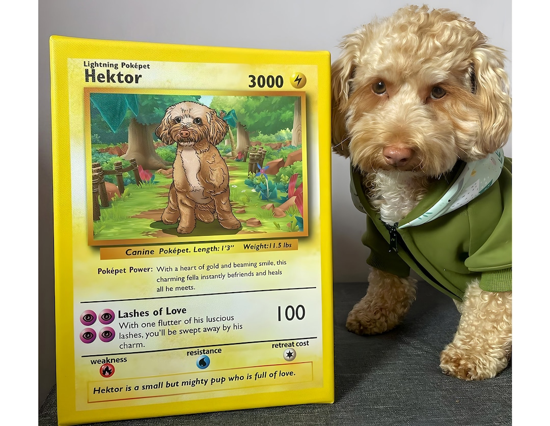 Custom Pokemon Card, Custom Metal Pokemon Cards, Custom Dog Portrait ...