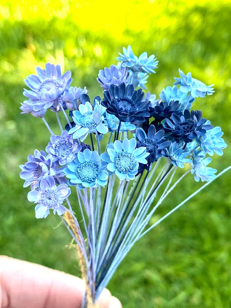 New Color Combination Periwinkle Cobalt Blue and Lavender - Etsy
