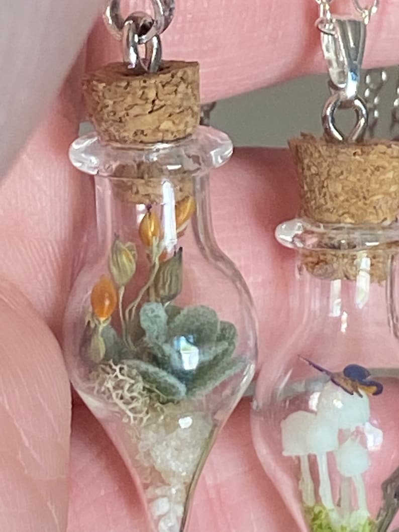 Tiny Terrarium Small Succulent or Mushroom Necklaces - Etsy