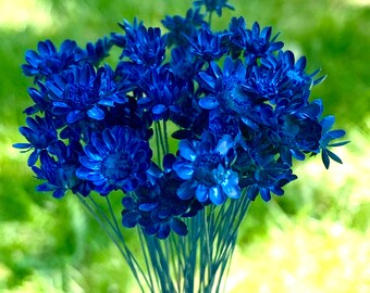 \-50 stems Dark Cobalt blue star flower Craft Supplies & Tools Tools ...