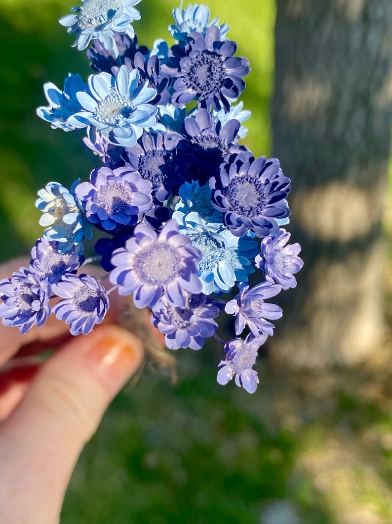 New Color Combination Periwinkle Cobalt Blue and Lavender - Etsy