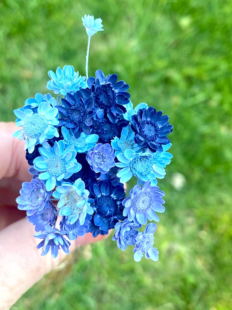 New Color Combination Periwinkle Cobalt Blue and Lavender | Etsy