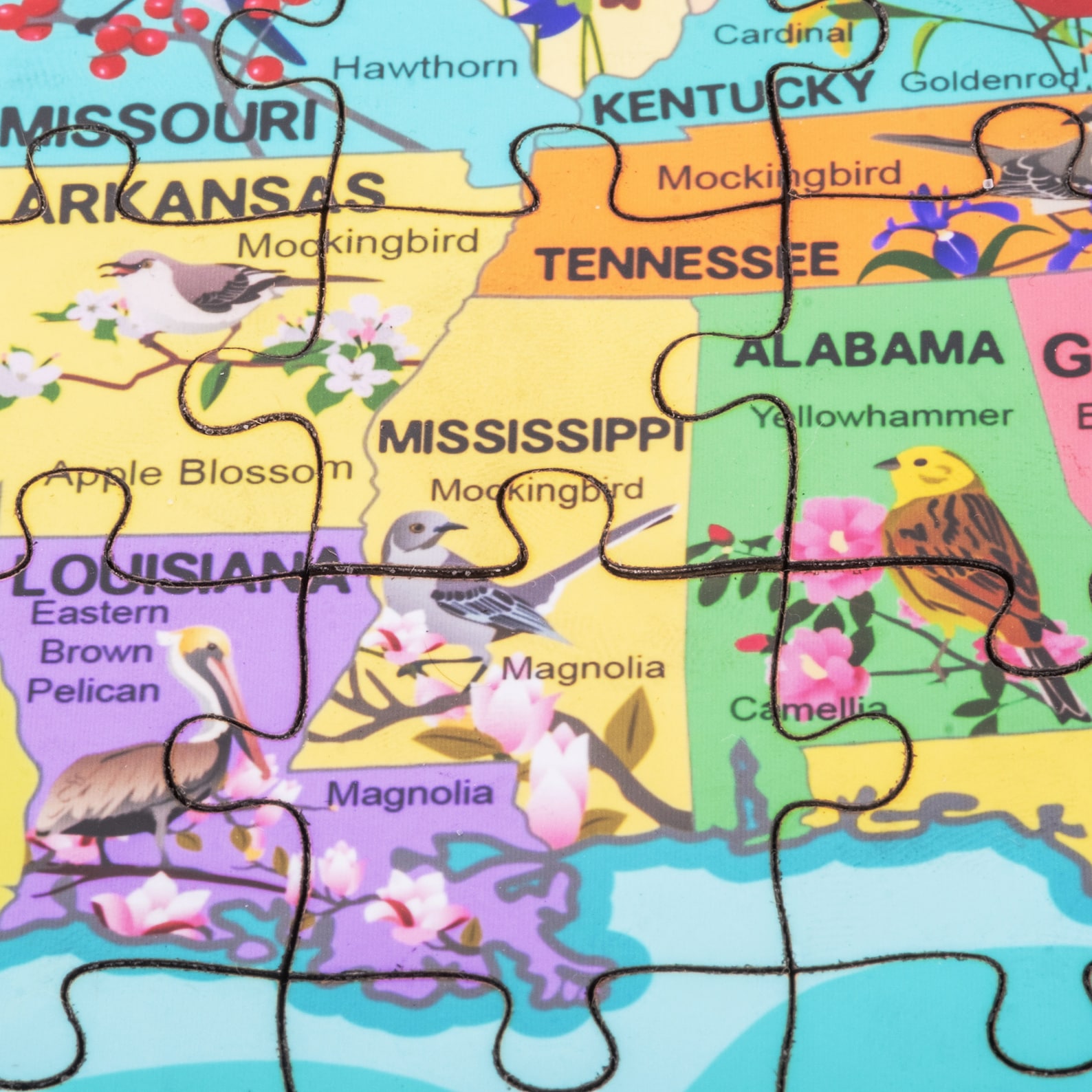 USA States Map Wooden Jigsaw Puzzle, United States America Illustrated ...