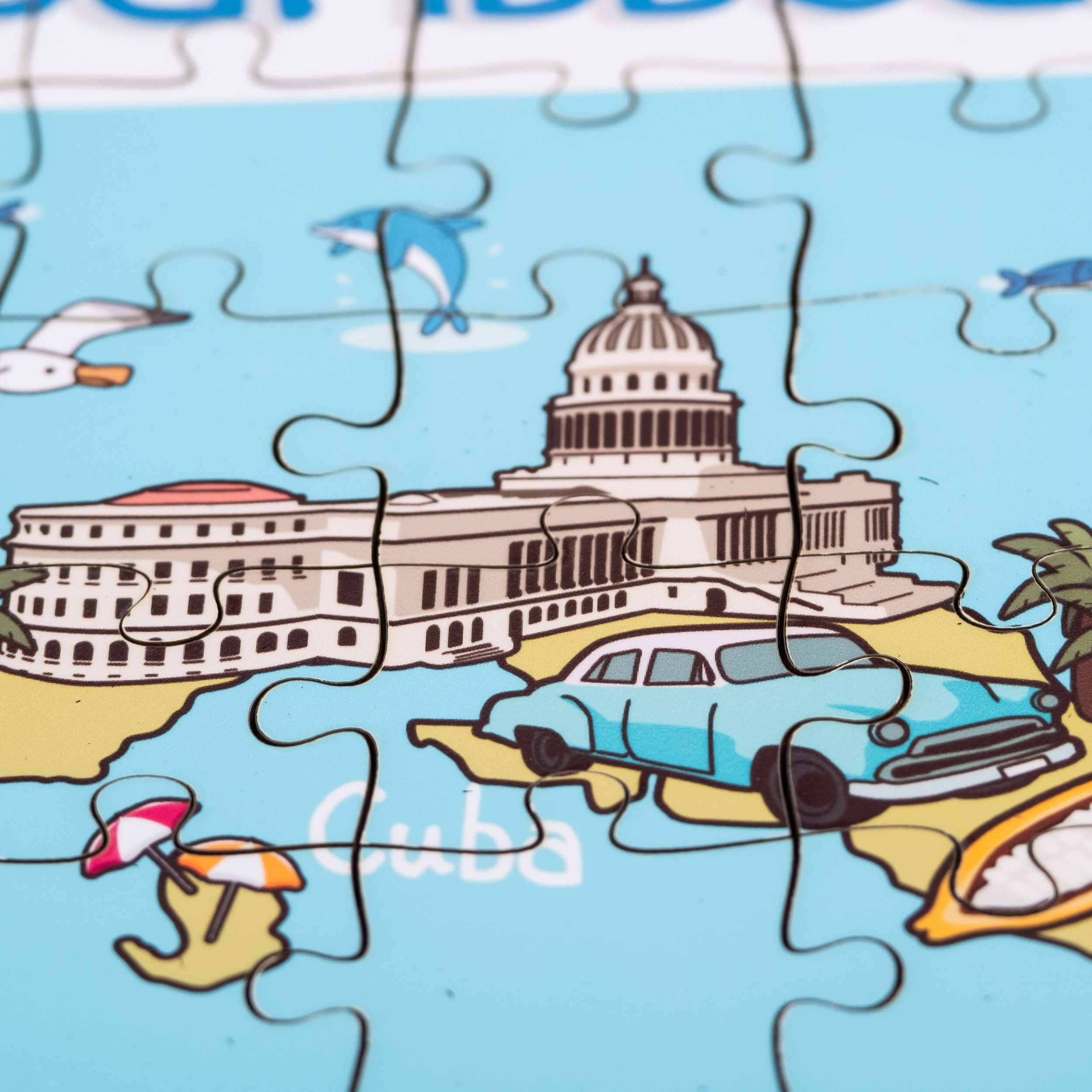 Caribbean Map Wooden Jigsaw Puzzle for Kids and Adults, Educational ...