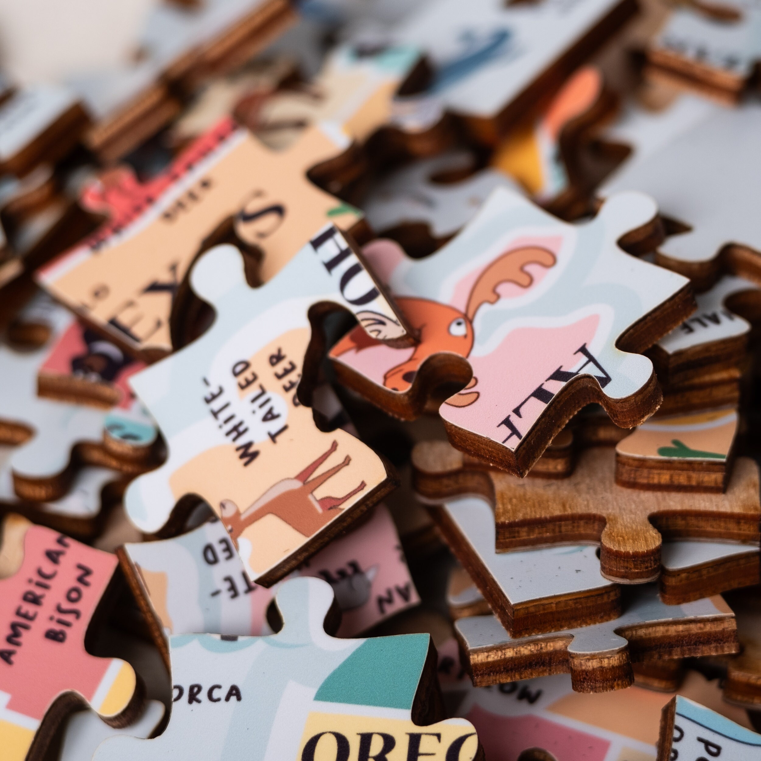 USA State Mammals Map Jigsaw Puzzle for Children and Adults, Holiday ...