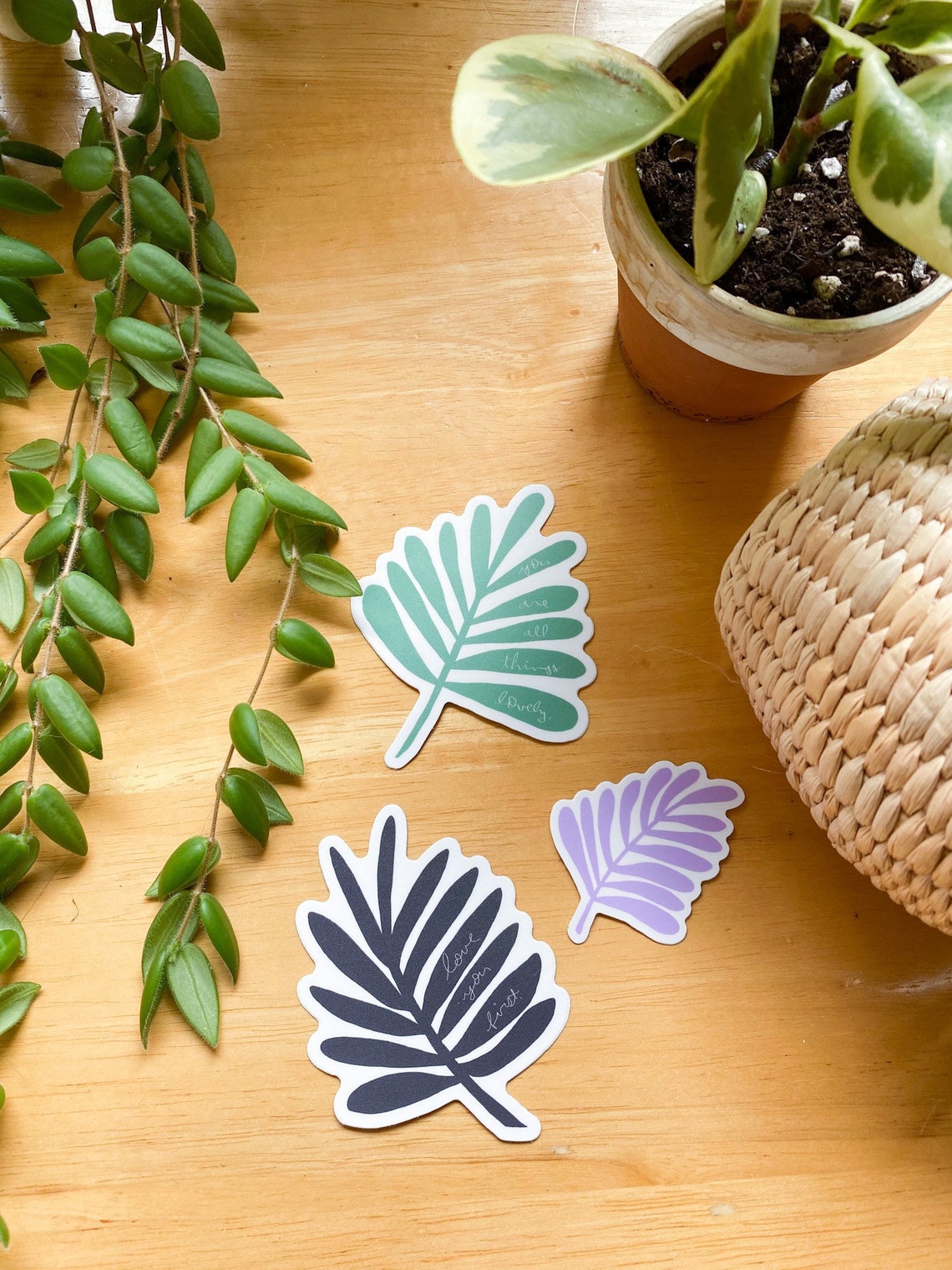 Minimal Fern Sticker Die Cut Plant Sticker Black Fern | Etsy