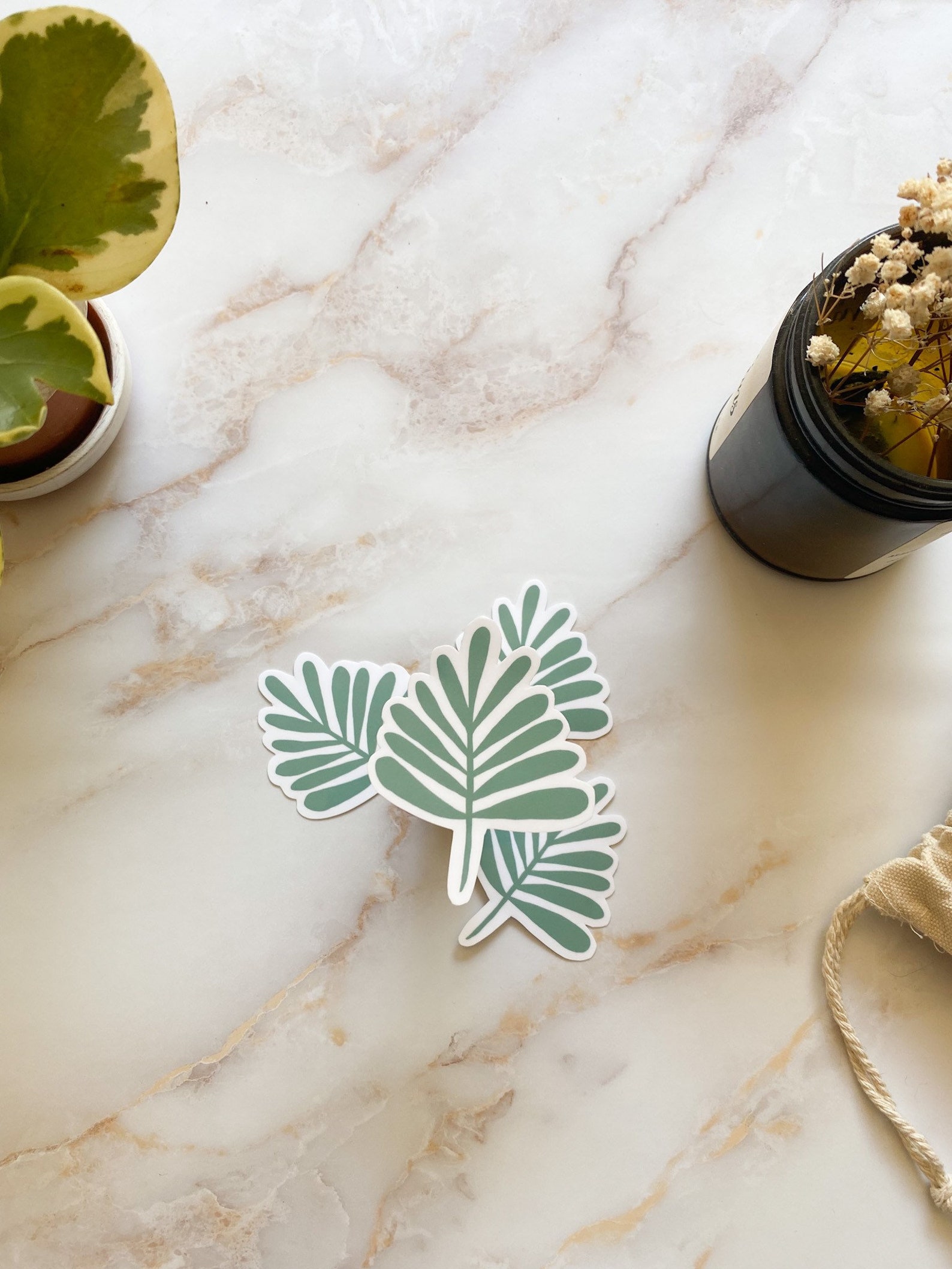 Minimal Fern Sticker Green Fern Sticker Die Cut Fern | Etsy